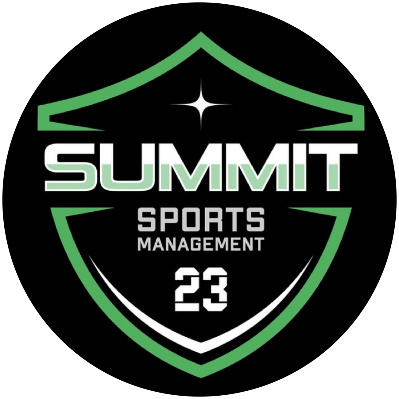About CEO – SUMMIT 23 AGENCY